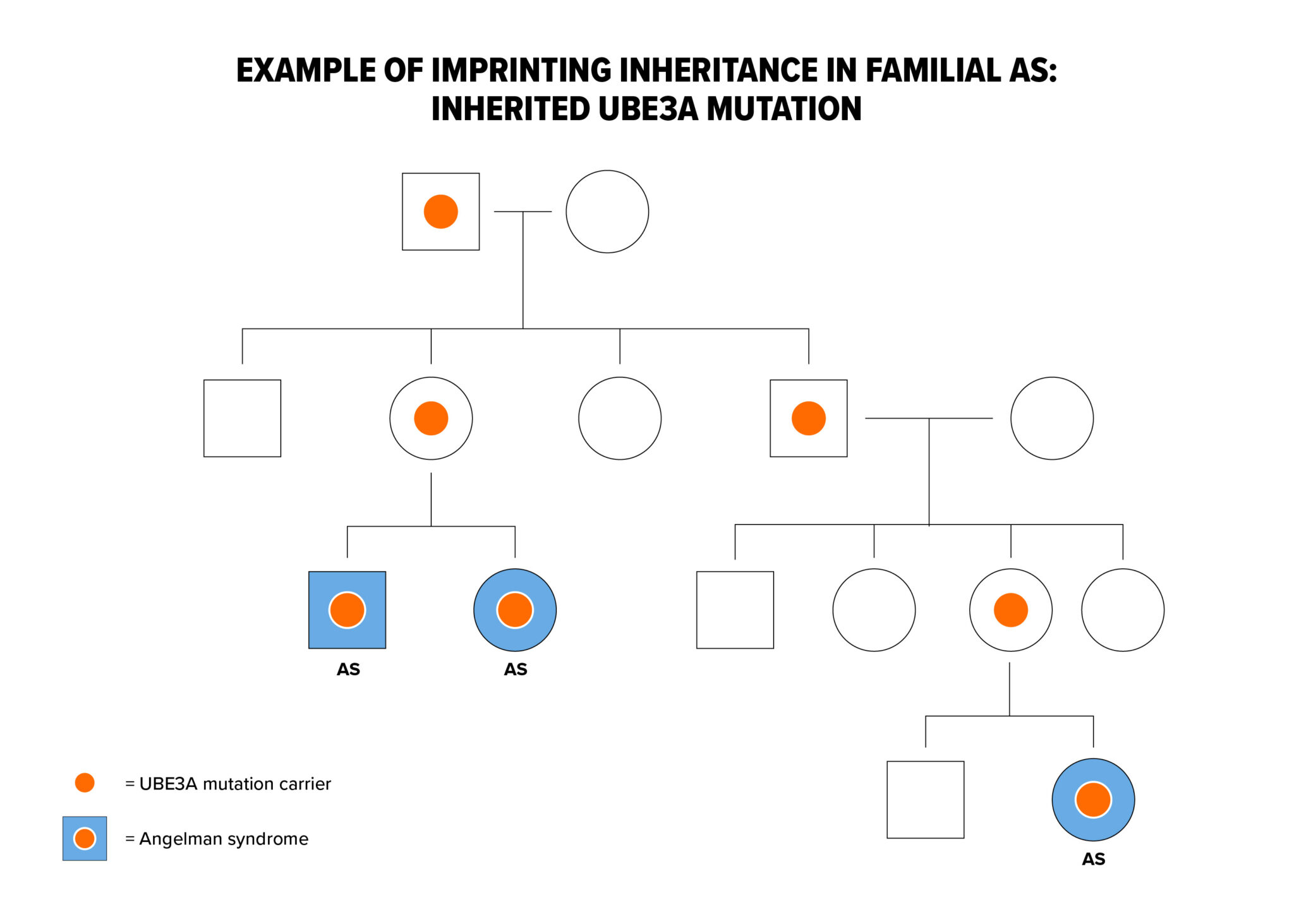 Sobre a síndrome de Angelman - Fundação da Síndrome de Angelman
