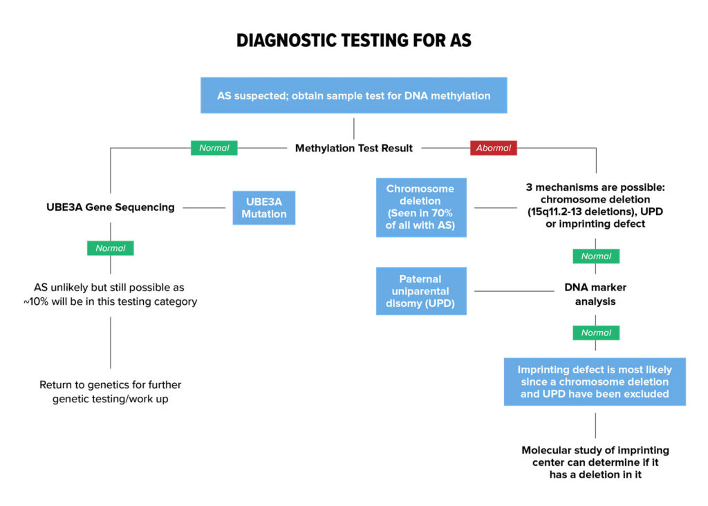 About Angelman syndrome - Angelman Syndrome Foundation